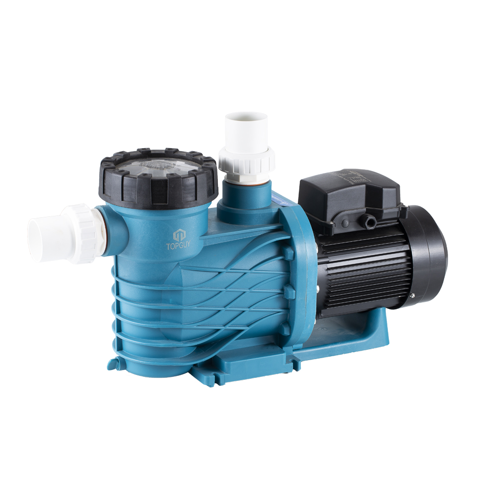 1.0HP/1.5HP Outdoor Water Pump Running Water Pump for Pool Booster Pump ...